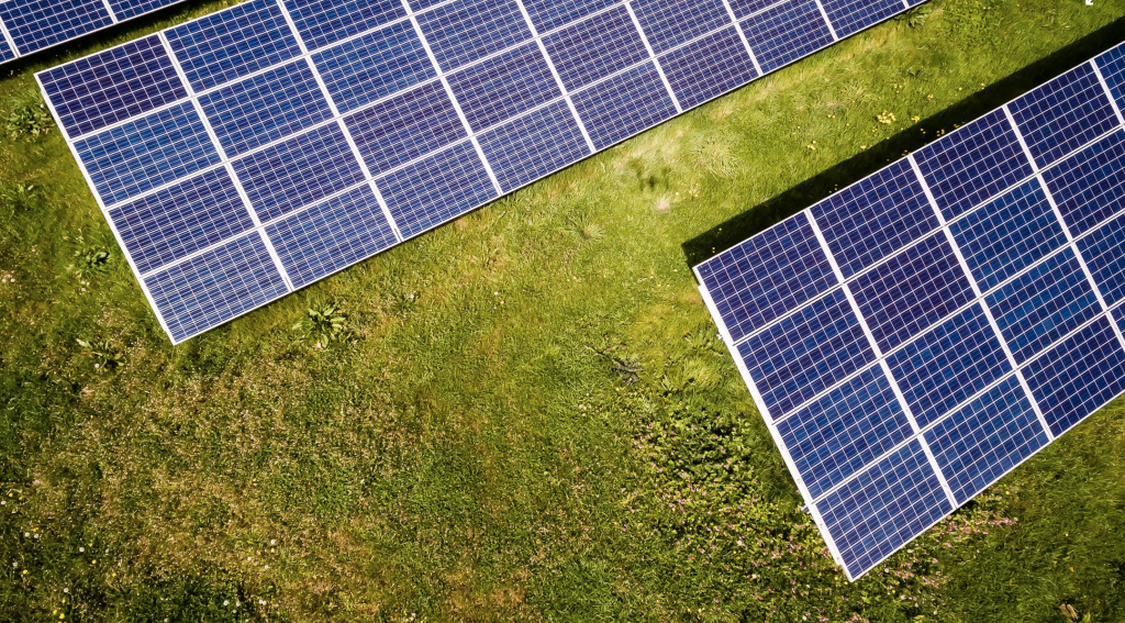 Solar Panels Help Crops Grow | Things Are Good